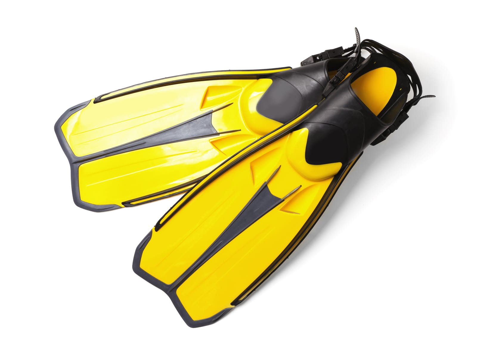 Scuba Diving fins: Full guide